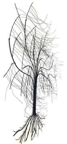 Metal Wall Art - Large Windy Oak Tree